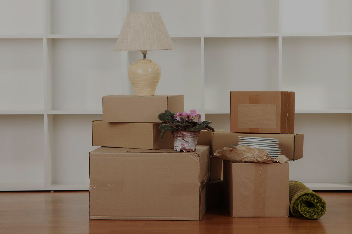 pickup-deliveries-waikato-move-my-stuff - Move My Stuff